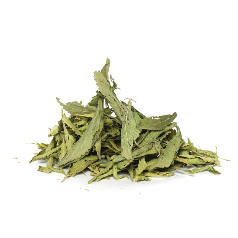 The stevia plant Stevia rebaudiana